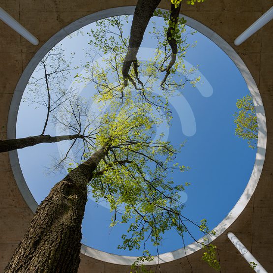 Regulatory Update: 2024 Outlook | Clarity AI Regulatory Update: 2024 Outlook | Clarity AI